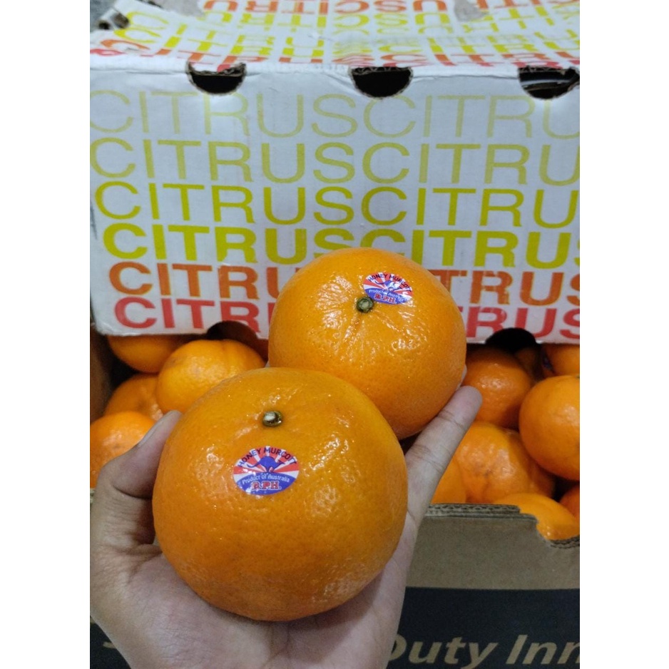 Jual Jeruk keprok HONEY Murcot / manis / per kg / XXL | Shopee Indonesia