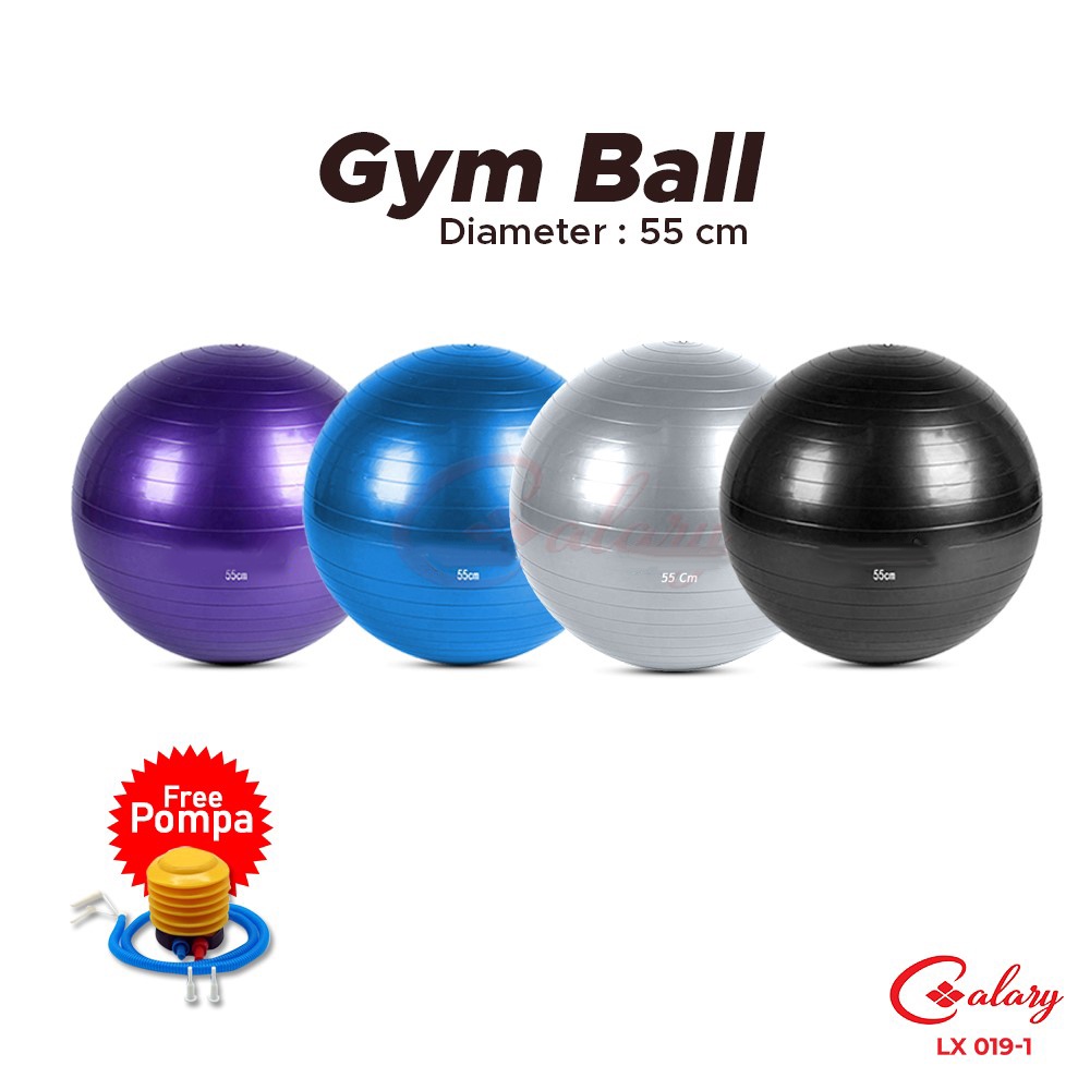 Jual SPEEDS Gym Ball gymball Bola Fitness Yoga Free Pompa Diameter 55cm ...