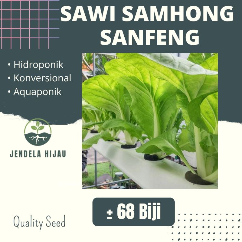 Jual Benih Sawi Samhong Sanfeng Known-You Seed - Bibit Tanaman Sayuran ...