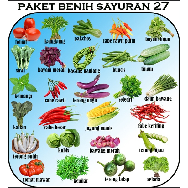 Jual Paket Benih Sayuran 27 Macam | Shopee Indonesia