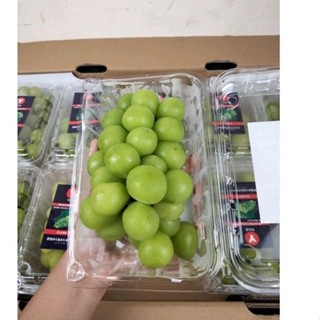 Jual buah anggur shine muscat import super | manis dan tanpa biji ...