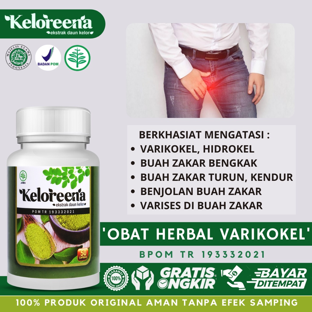 Jual Obat Varikokel, Buah Zakar Bengkak, Testis Besar Sebelah, Nyeri ...