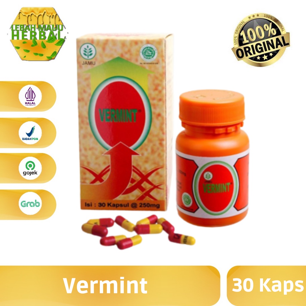 Jual Vermint - Obat Penururun Panas dan Typus - 30 Kapsul | Shopee ...