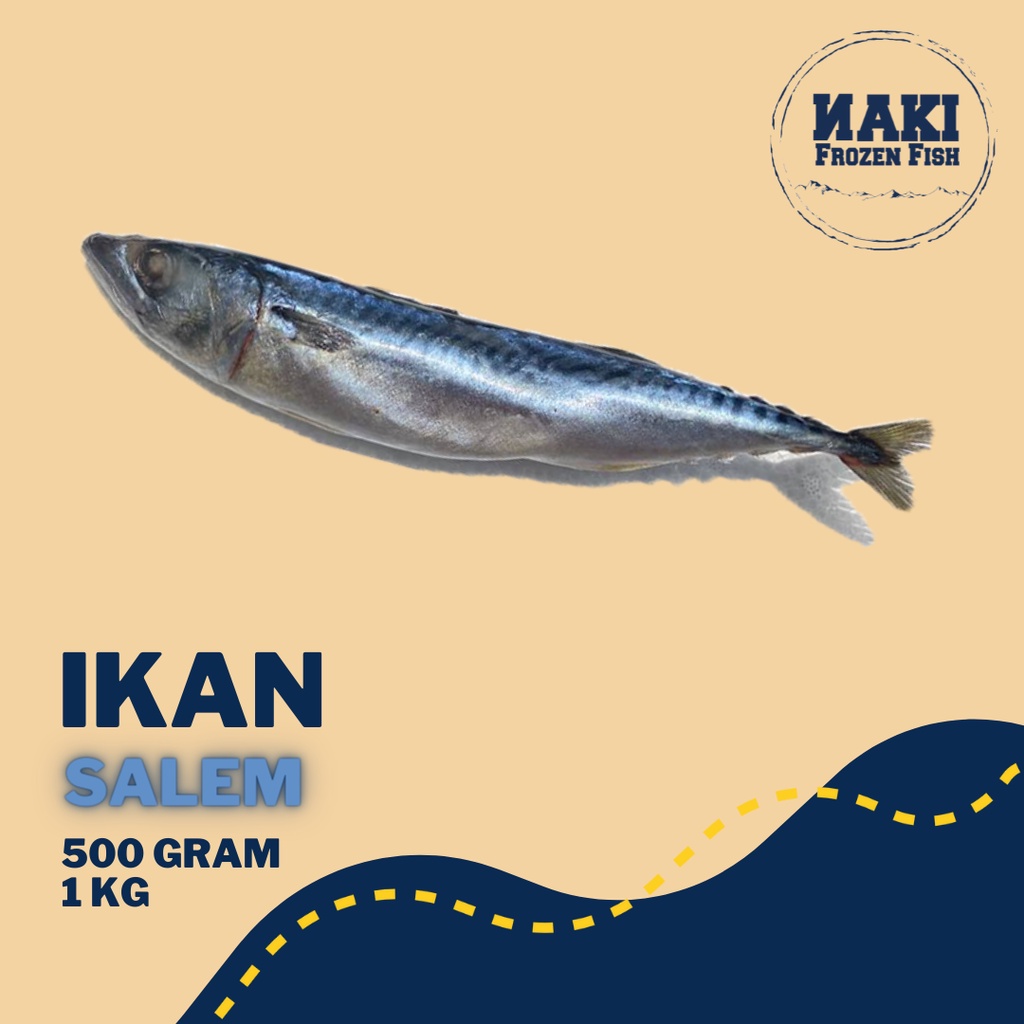 Jual Ikan Salem Beku / Ikan Makarel Frozen 500g -NakiFrozen | Shopee ...
