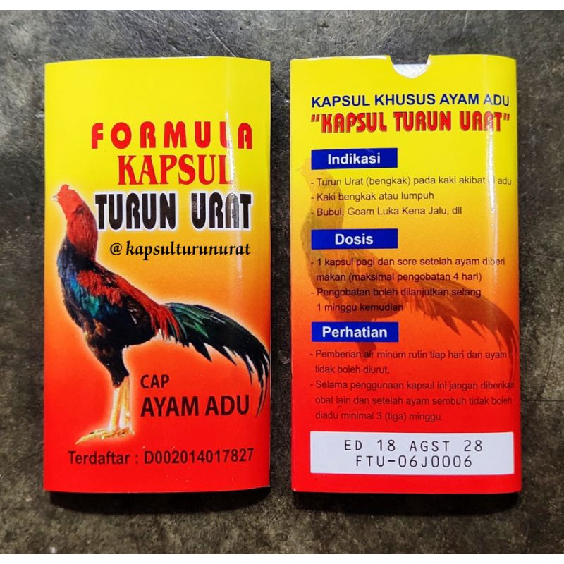 Jual KAPSUL TURUN URAT ORIGINAL CAP AYAM ADU TERDAFTAR : D002014017827 ...