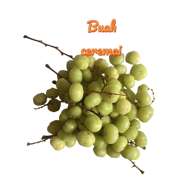 Jual buah ceremai segar dadakan 500gr | Shopee Indonesia