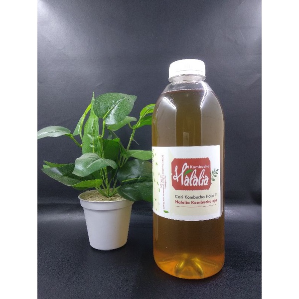 Jual Kombucha Halal dari Halalia kemasan 1 liter | Shopee Indonesia