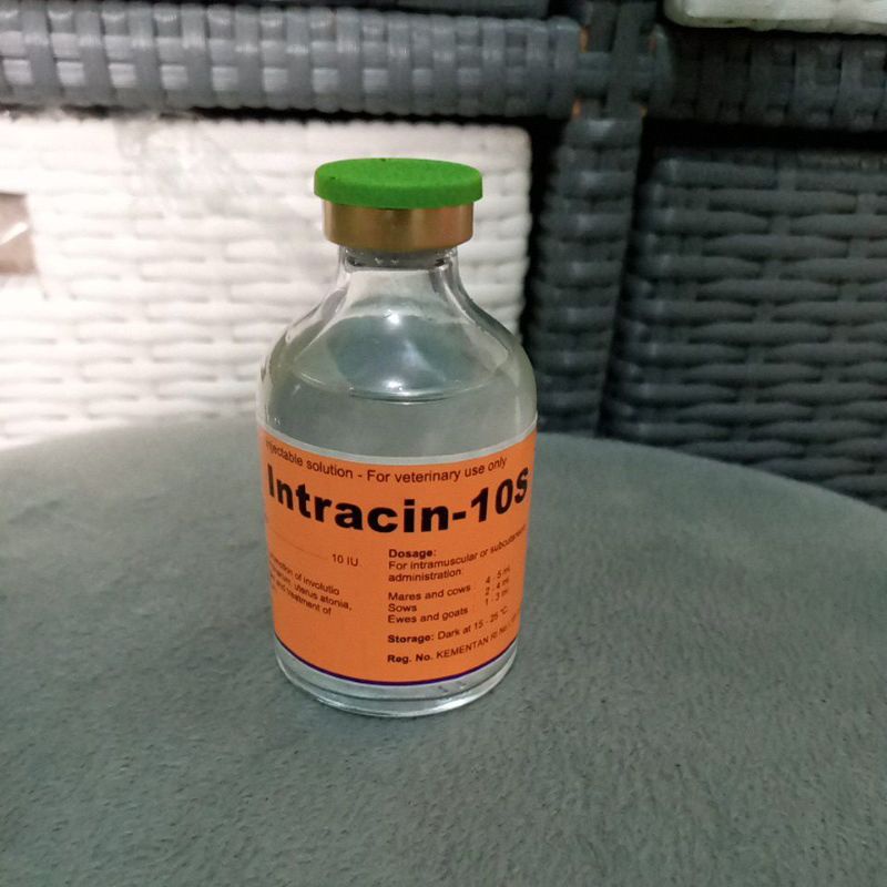 Jual INTRACIN-10S PERANGSANG UTERUS UNTUK HEWAN 50ML | Shopee Indonesia