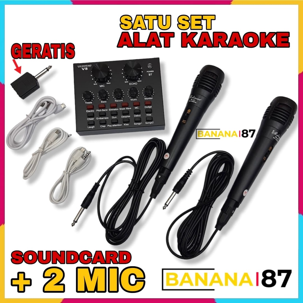 Jual Satu Set Lengkap Alat Karaoke Portable Bluetooth Audio USB ...