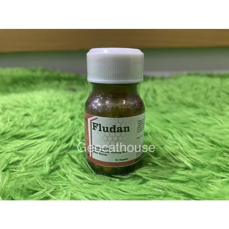 Jual Fludan 1 Botol 21 Kapsul Obat Flu Kucing Obat Pilek | Shopee Indonesia
