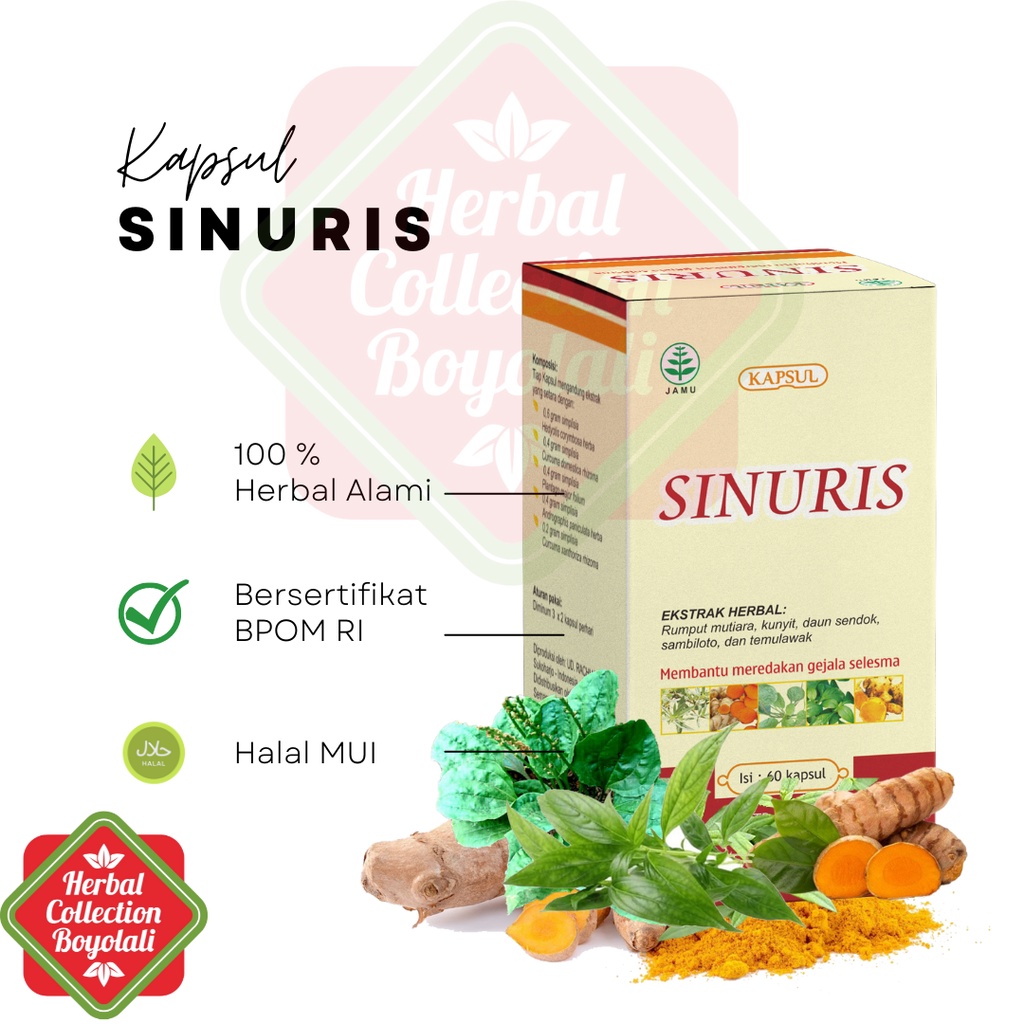 Jual Obat herbal sinusitis dan gejalanya dengan kapsul Herbal Sinuris ...