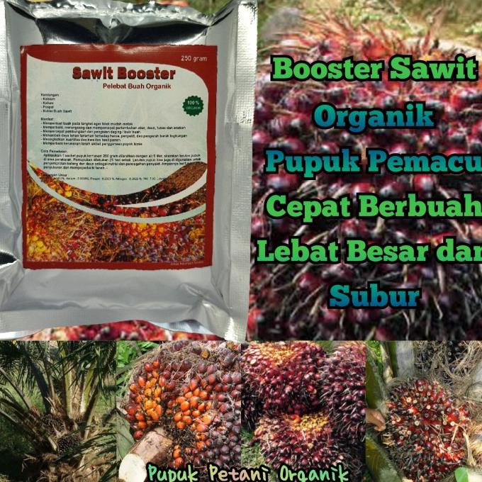 Jual PUPUK BOOSTER PELEBAT DAN BOOSTER SAWIT AMPUH AGAR CEPAT BERBUAH LEBAT | Shopee Indonesia