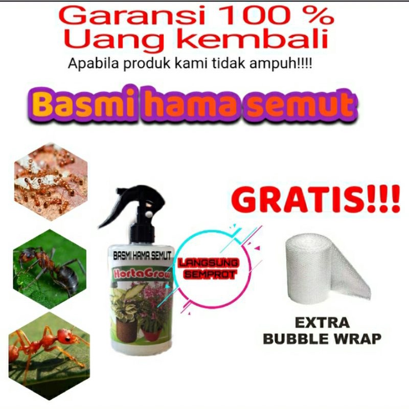 Jual pembasmi semut,pembunuh semut,hama semut | Shopee Indonesia