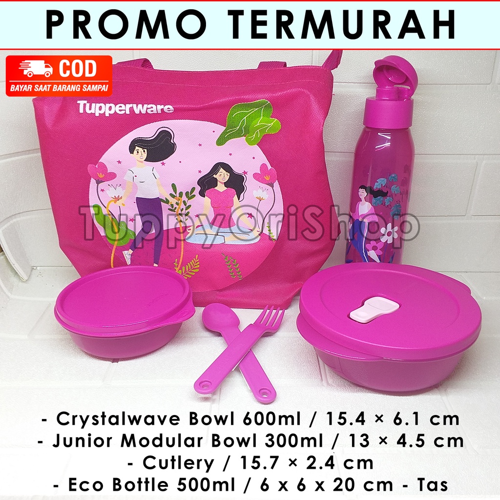 Jual MS Sporty Lunch Set Tupperware Kotak Bekal Makan | Shopee Indonesia