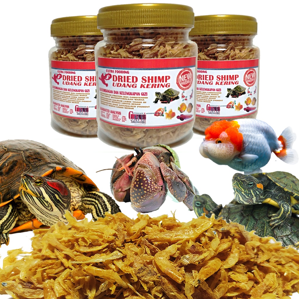 Jual Makanan udang kering murah rebon kering dried shrimp ikan kura ...