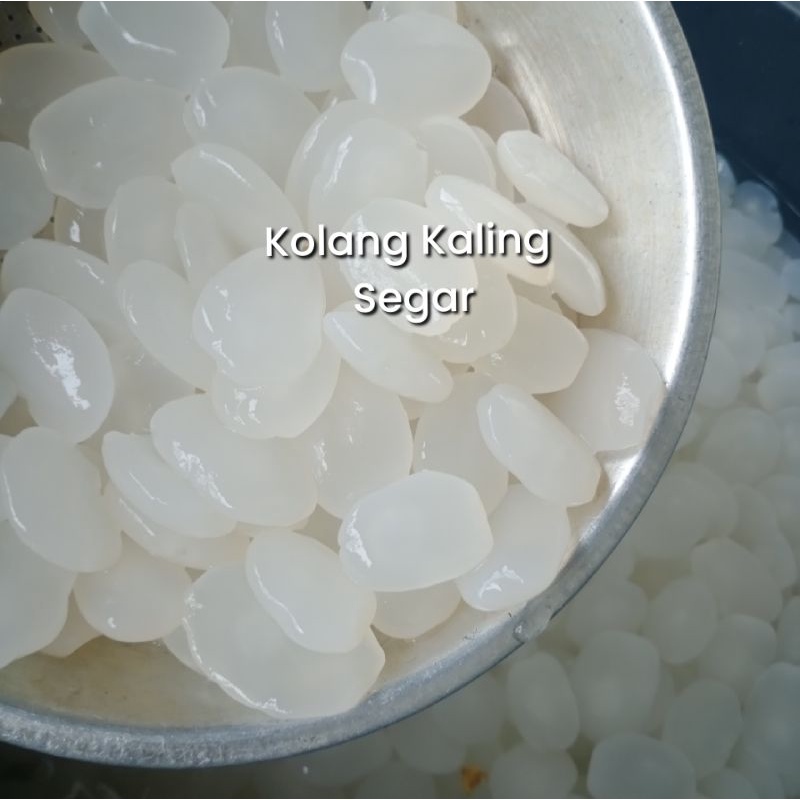Jual Kolang Kaling Segar Kolang Kaling mentah 1kg | Shopee Indonesia Jual Kolang Kaling Segar Kolang Kaling mentah 1kg | Shopee Indonesia