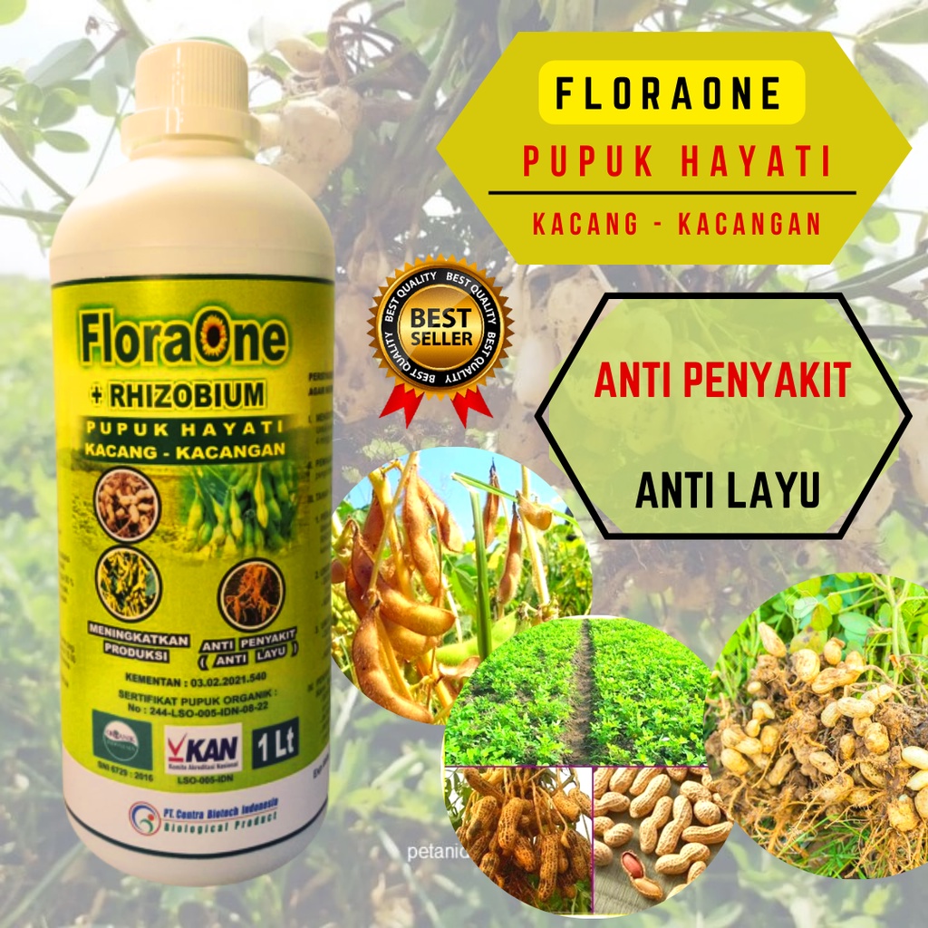 Jual PUPUK FLORAONE RHIZOBIUM 1 L, Pupuk Kacang Tanah Berbuah Lebat ...