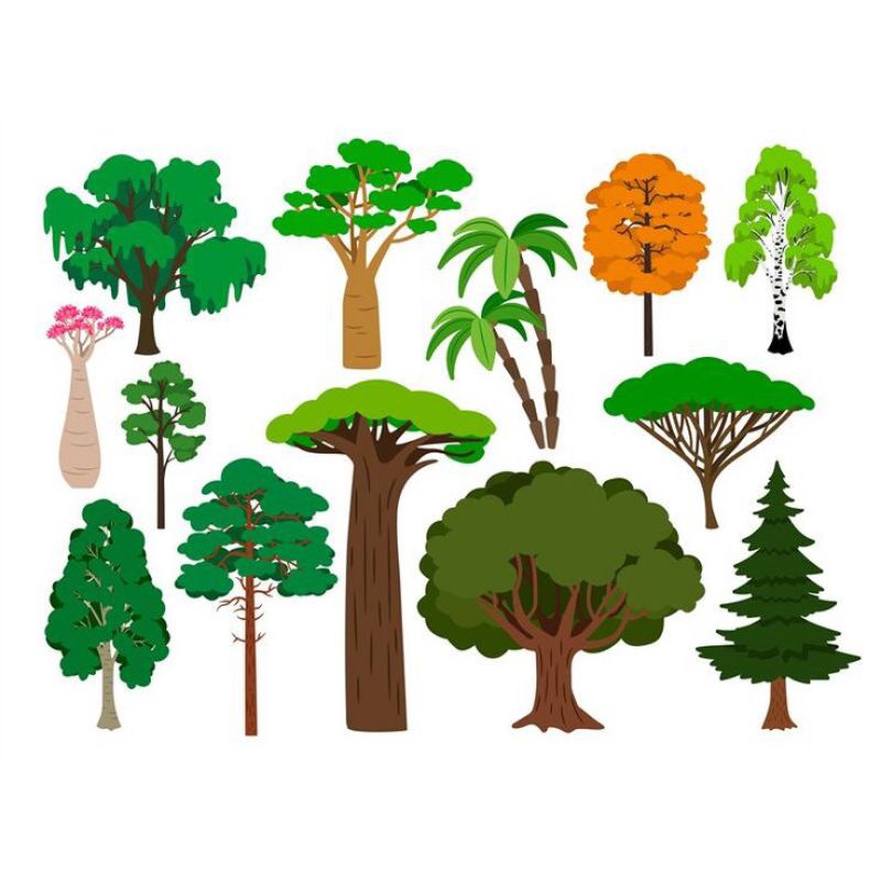 Jual Topper Cake tema pohon | Shopee Indonesia