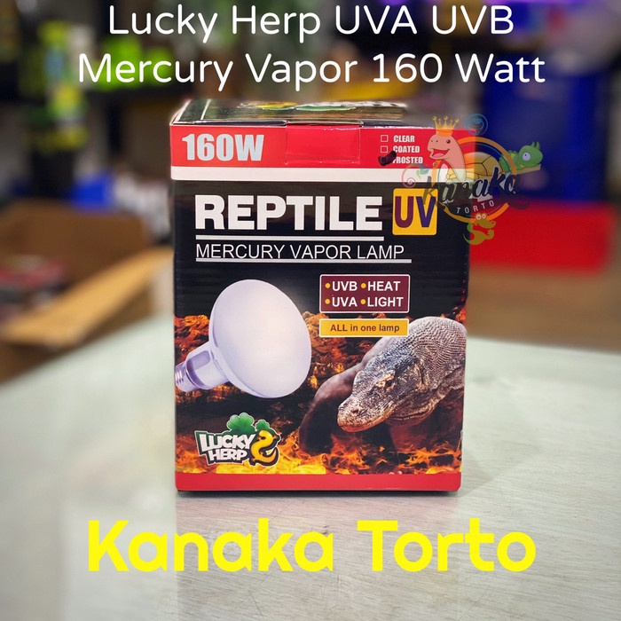 Jual Lucky Herp Mercury Vapor 160 Watt Lampu UVA UVB Reptil Torto Aldabra | Shopee Indonesia