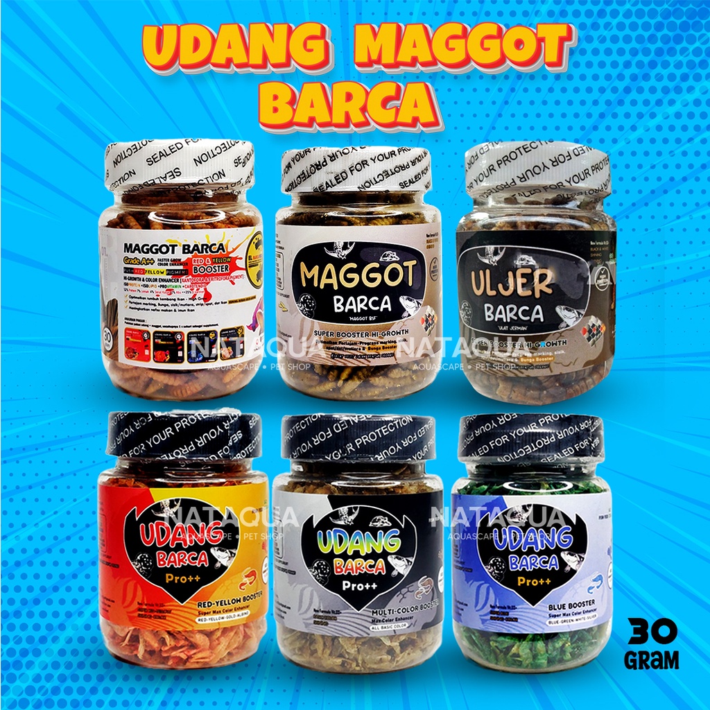 Jual Udang Maggot Pakan Ikan Channa Maru YS El Barca Feed Grade A++ - 30gr | Shopee Indonesia