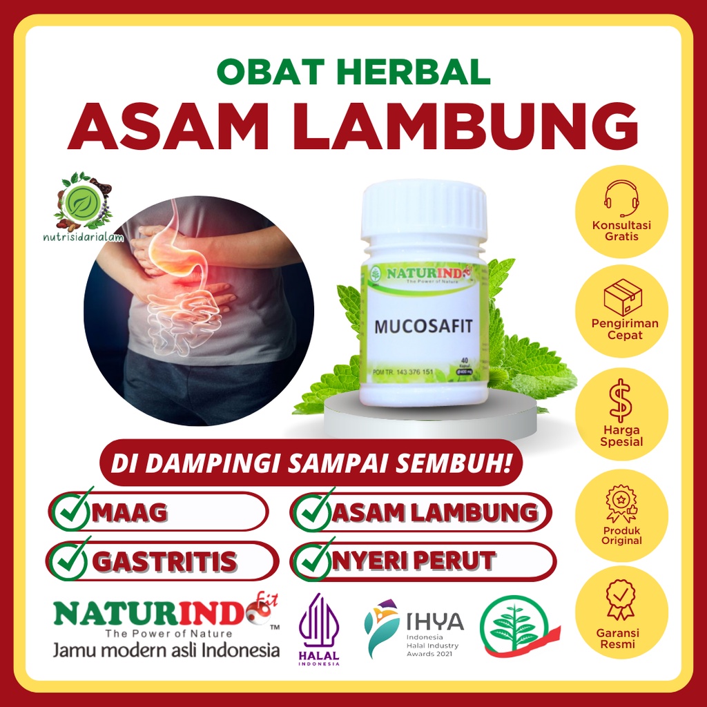 Jual Obat Asam Lambung Herbal Gastritis Sakit Perut Maag Maagh Mual ...