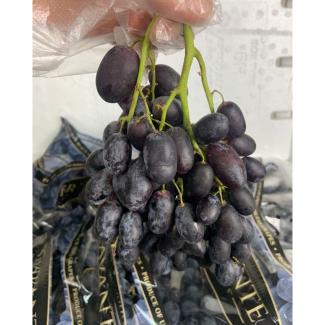 Jual Anggur Black Autumn Royal Seedless USA 1kg | Shopee Indonesia