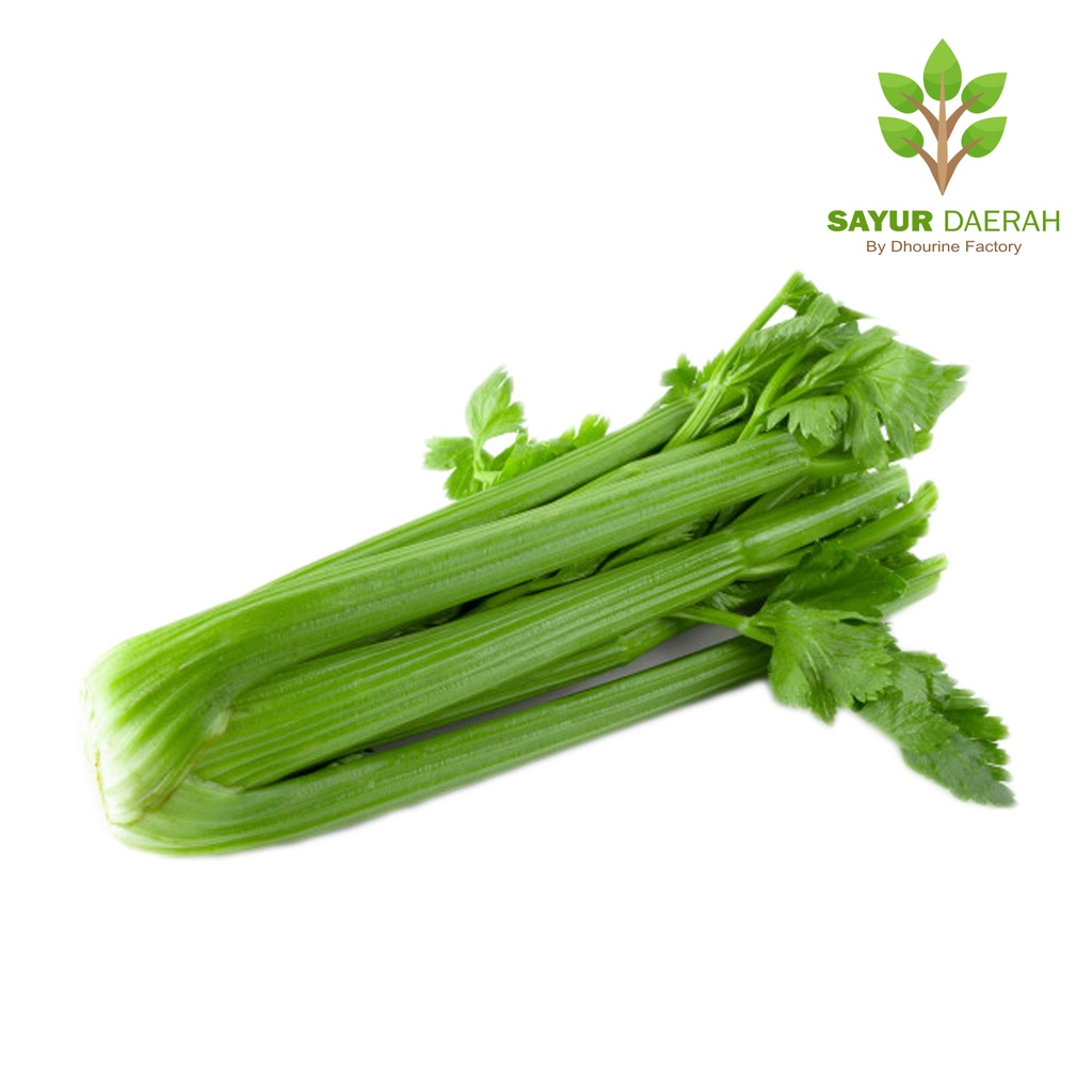 Jual Seledri Stik Batang 500 Gr | Sayur Daerah | Shopee Indonesia