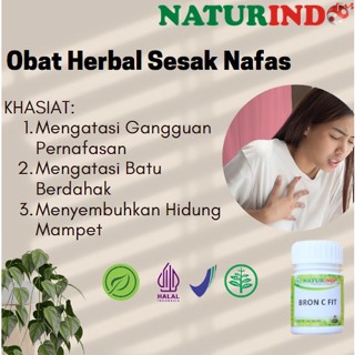 Jual Obat Sesak Nafas Semprot dan Batuk Anak Herbal Karena Asam Lambung ...