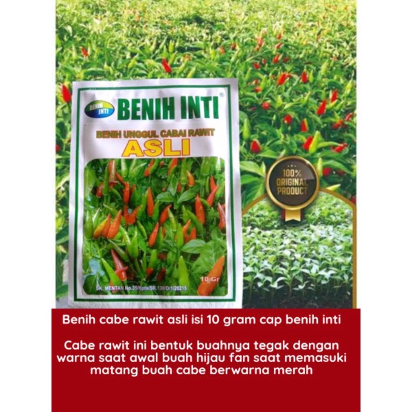 Jual Benih cabe rawit asli 10g | Shopee Indonesia