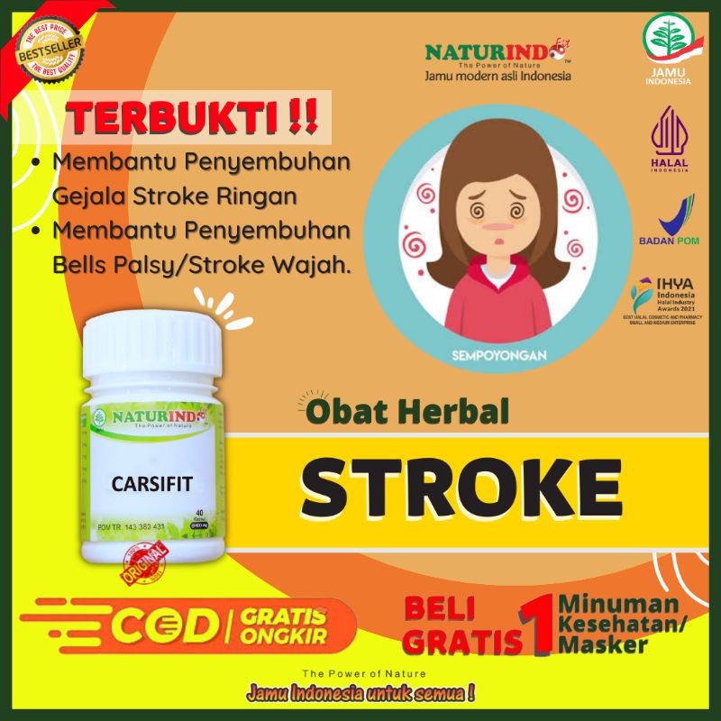 Jual Obat Stroke Ampuh Stroke Ringan Lumpuh Menahun Bells Palsy Struk ...