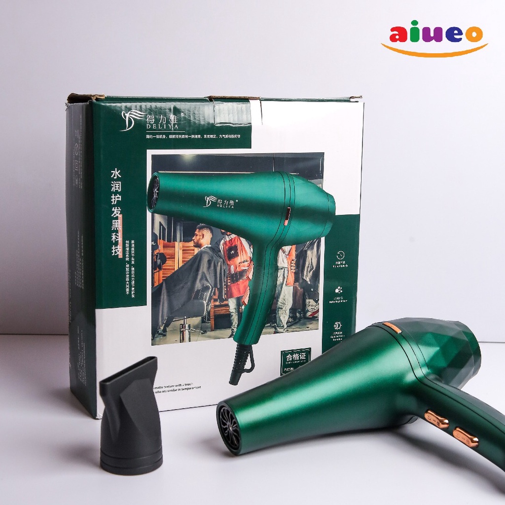 Jual AIUEO DISKON Hair Dryer Pengering Rambut Profesional Salon Carmila ...