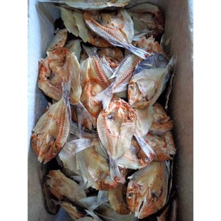Jual ikan katambak asli selayar 1kg | Shopee Indonesia
