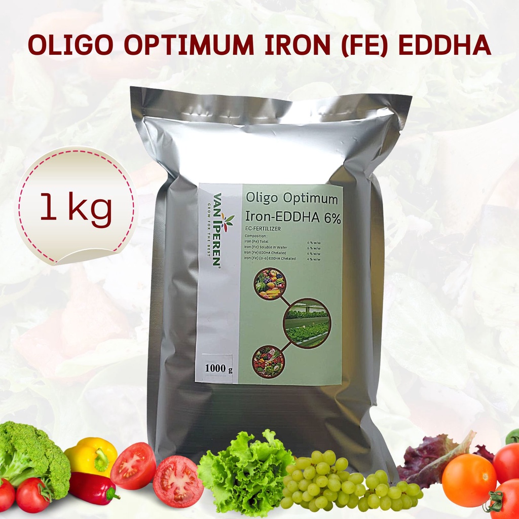 Jual Oligo Optimum Fe EDDHA 6% ortho 4.0 untuk Hidroponik 1 kg | Shopee ...
