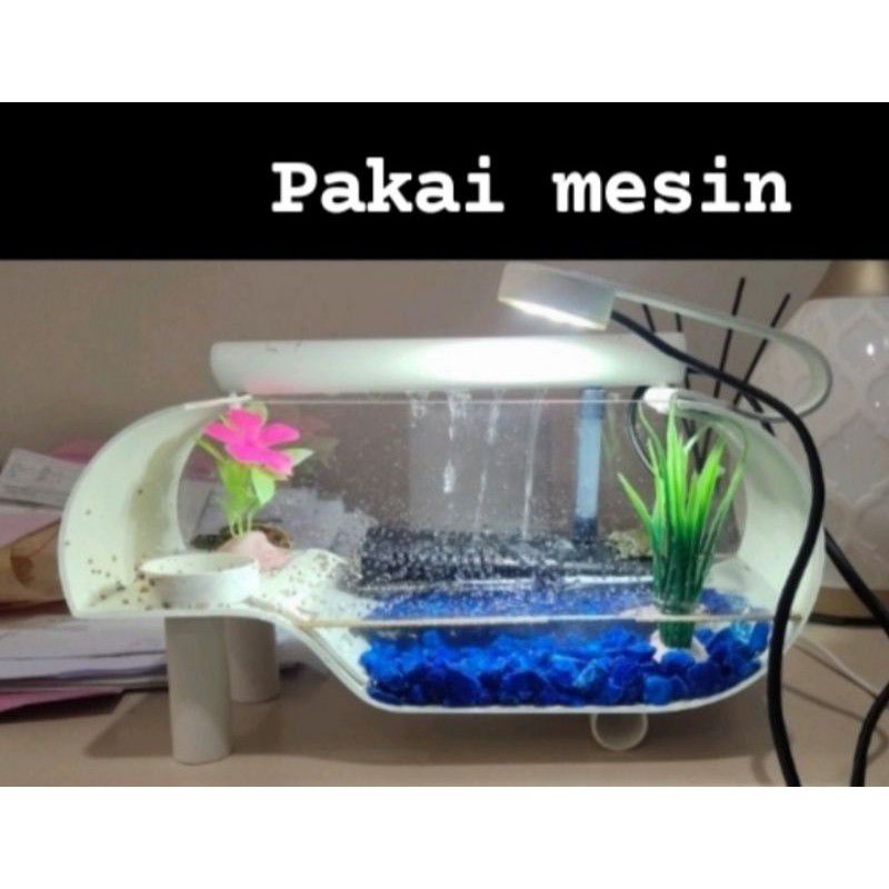 Jual Akuarium Mini Akrilik Pipa PVC Ikan Hias Dan Kura-Kura Brazil ...