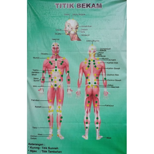 Jual Poster Titik Bekam 80x120 cm ( hak cipta dilarang download ) | Shopee Indonesia