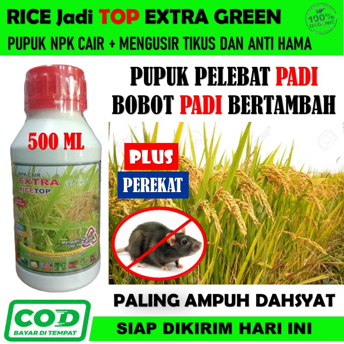 Jual RICE jadi TOP Pupuk Organik Pelebat Padi Anti Hama Dan Tikus - Obat Semprot Rice Jadi Top ...
