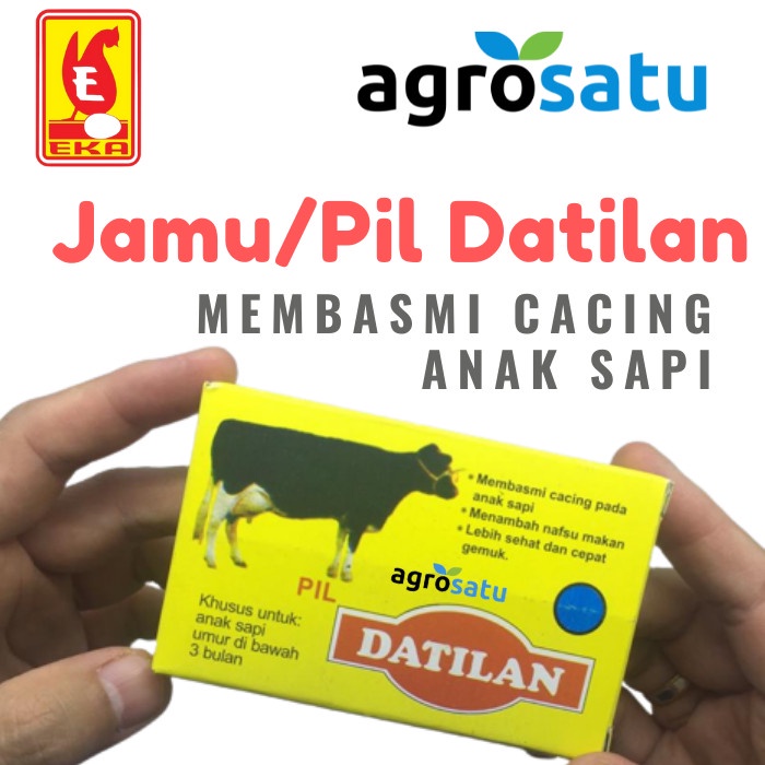 Jual Obat Cacing Anak Sapi Pedet Pil Jamu DATILAN Eka Farma isi 4 Bolus ...