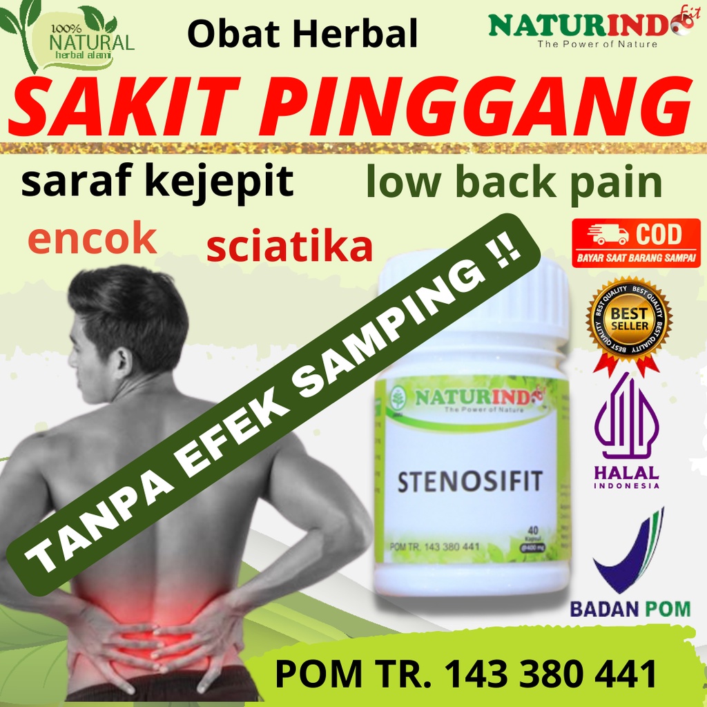 Jual obat sakit pinggang herbal obat saraf kejepit low back pain ...