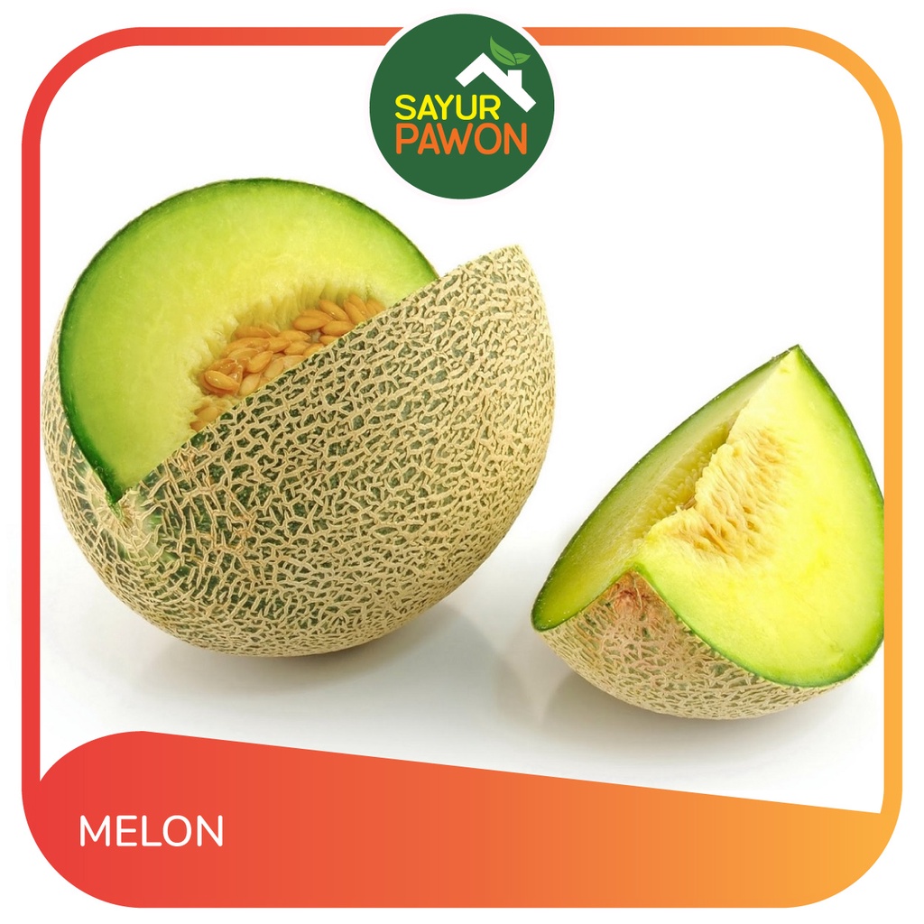 Jual BUAH MELON per buah [UTUH] - Sayur Pawon Jogja | Shopee Indonesia