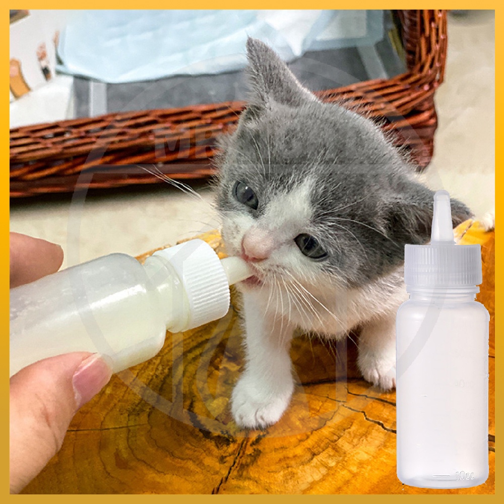 Jual Dot kucing botol kucing dot 60ml peralatan air minum anak kucing ...