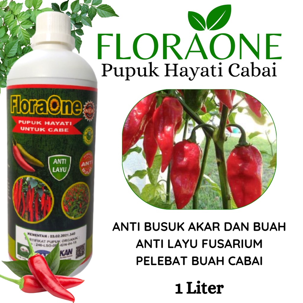 Jual Pupuk Cabe Agar Berbuah Lebat Anti Rontok Dan Antraknosa, Pupuk Cabai Masa Generatif ...