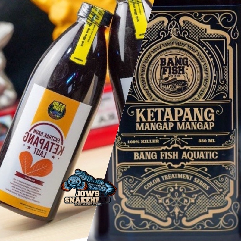 Jual KETAPANG LAUT BANG FISH | Shopee Indonesia