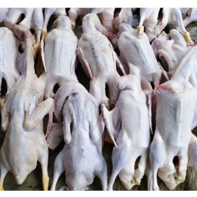 Jual BEBEK PACKING FROZEN (pengiriman instant) | Shopee Indonesia