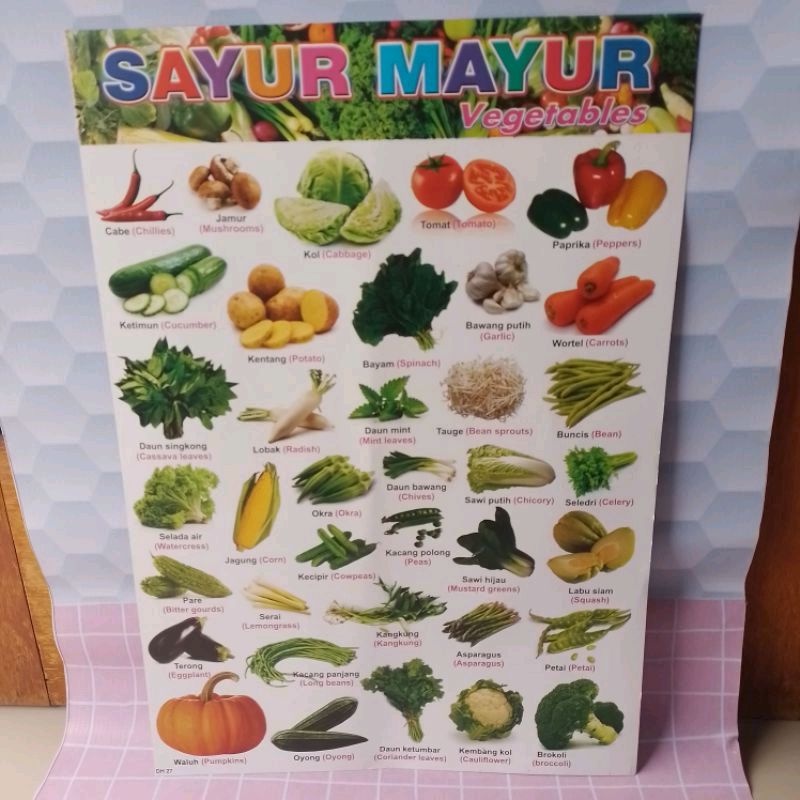 Jual Poster Anak Sayur Mayur ( Vegetables ) | Shopee Indonesia