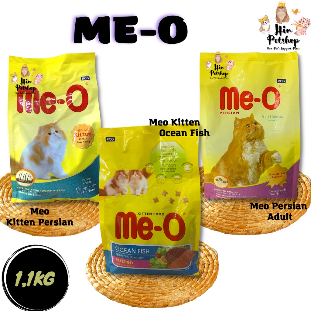 Jual Meo Persian Adult / Meo Kitten Ocean Fish / Meo Persian Kitten 1,1 ... Jual Meo Persian Adult / Meo Kitten Ocean Fish / Meo Persian Kitten 1,1 ...