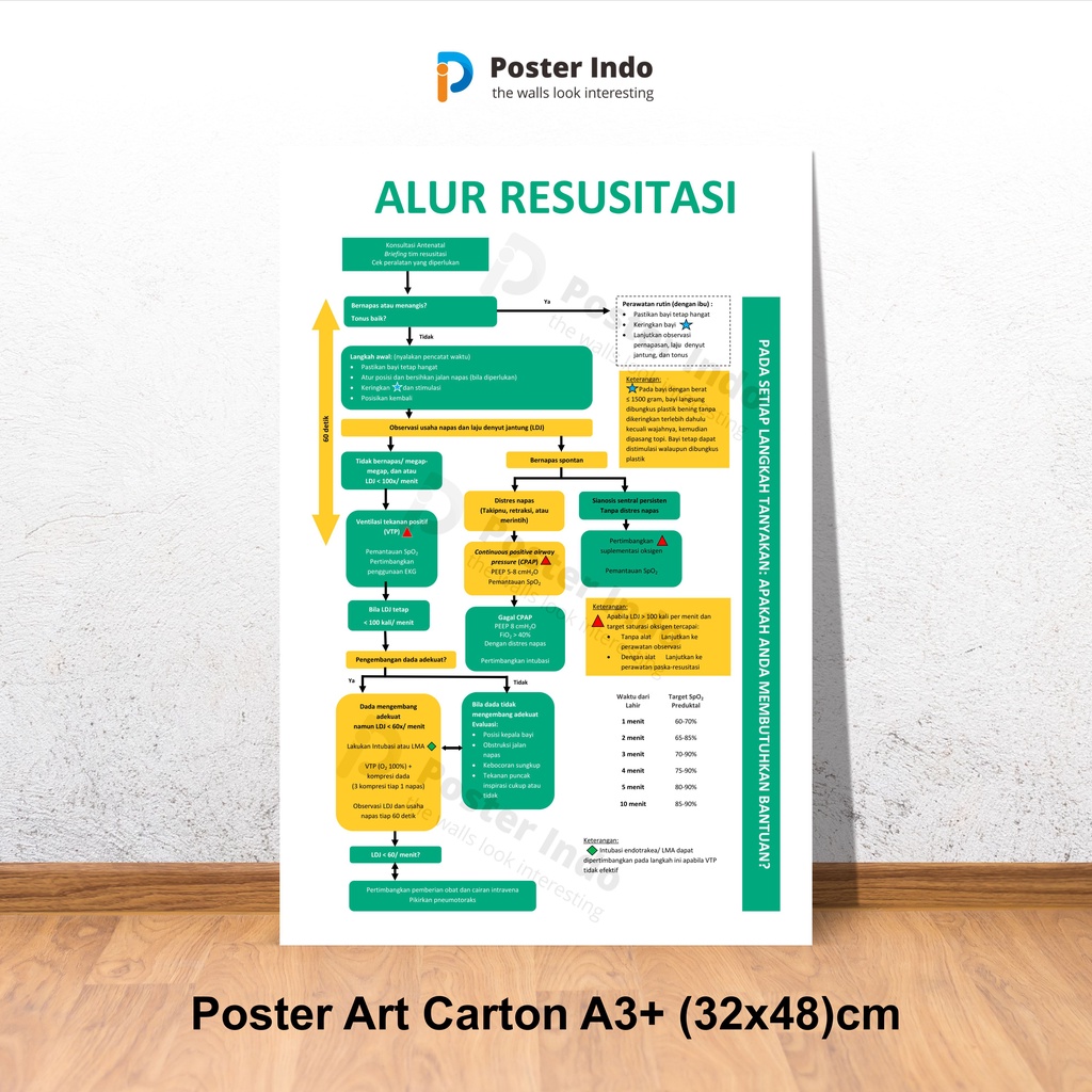 Jual Poster Medis Algoritma Alur Resusitasi | Shopee Indonesia