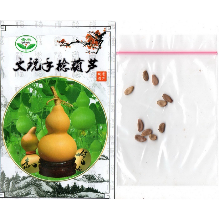 Jual Benih Labu Botol 10 Biji | Shopee Indonesia