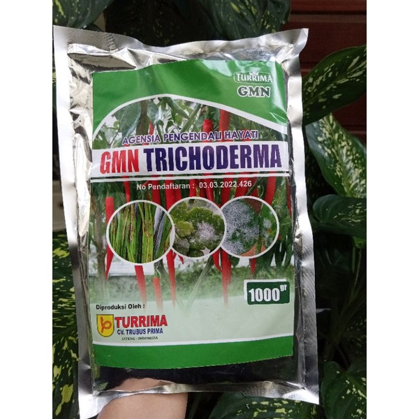 Jual Pupuk Tricoderma Sp, GMN Trichoderma Agensia Pengendali Hayati ...