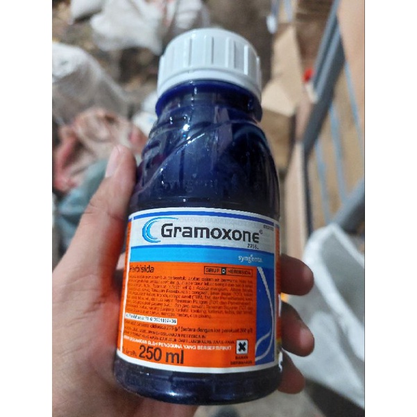 Jual Gramoxone 250ml herbisida 250 ml syngenta | Shopee Indonesia