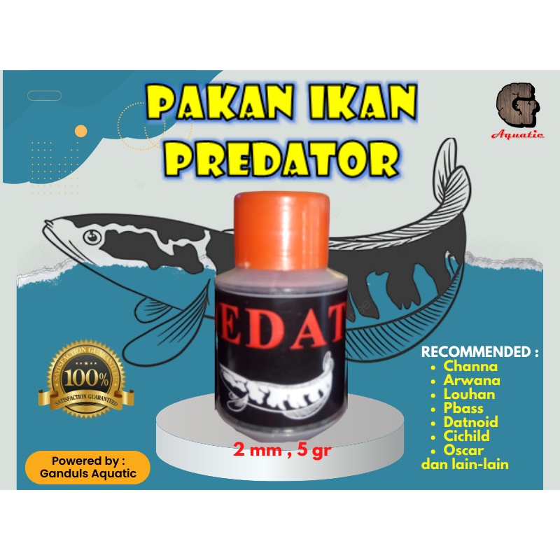 Jual PAKAN PELET IKAN PREDATOR TERBAIK PAKAN IKAN PREDATOR BERKUALITAS ...